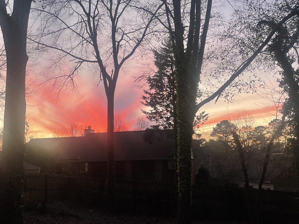 2026:Week 3 - A Camera & A Cookbook